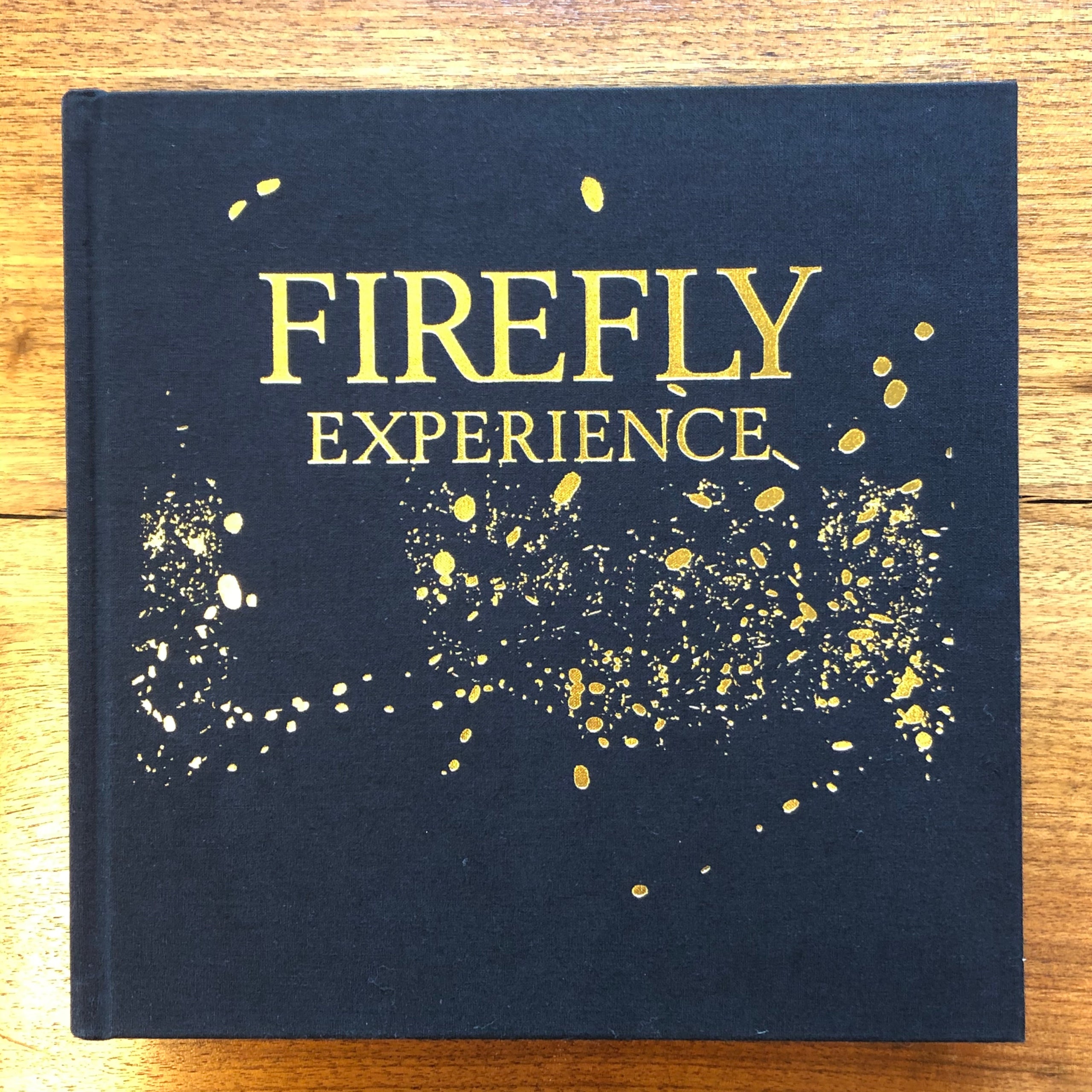 Firefly Experience Book Schreiber Beréskin Gallery